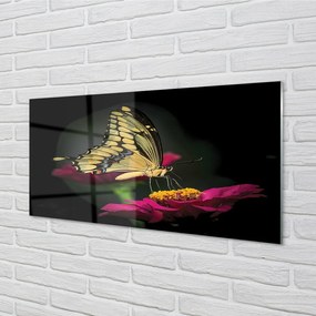 Obraz na skle Motýl na květině 120x60 cm