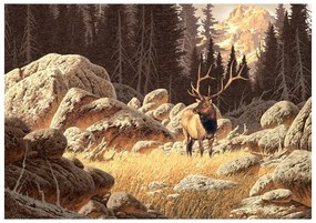 Obraz jelena (100x70 cm), 40 dalších rozměrů