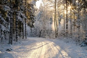 Umělecká fotografie Narrow snowy forest road on a sunny winter day, Schon, (40 x 26.7 cm)