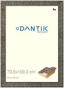 DANTIK rámeček 70x100 | Dora Silver (Plexi Čiré)