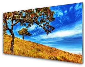 Obraz na skle Louka Strom Příroda 120x60 cm