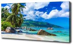 Wallmuralia Foto obraz na plátně Seychely pláž 100x50