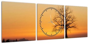 Obraz západu slunce na louce (s hodinami) (90x30 cm)