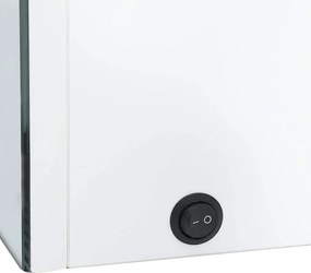 LED koupelnová skříňka se zrcadlem zářivě bílá 62 x 14 x 60 cm 326524