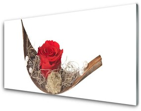 akrylový obraz Růže Květ Rostlina 100x50 cm