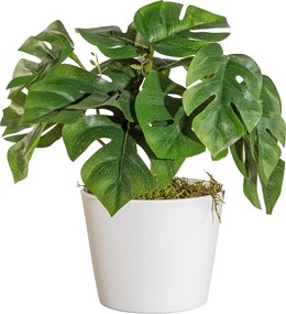 Umělý Split-Philodendron v květináči zelená, 25 cm