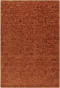 Koberec v terakotové barvě 200x290 cm – Asiatic Carpets