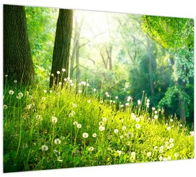 Obraz - Magická louka plná pampelišek (70x50 cm)