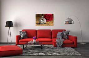 Malvis ® Obraz - Stopky a růže Velikost: 120x80 cm