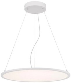Westinghouse 65775 - LED Stmívatelný lustr na lanku ATLER LED/40W/230V 60 cm