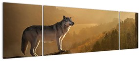 Obraz vlka na skále (170x50 cm)