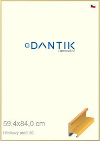 DANTIK rámeček 59,4x84 | ALU profil 6030 Dýha barevná žlutá (Plexi Čiré)