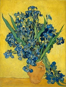 Obrazová reprodukce Irises (Vintage Flowers) - Vincent van Gogh, (30 x 40 cm)