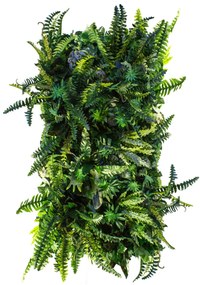 Vertikální zahrada Deepwoods Fern 50x100