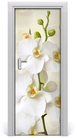 Fototapeta na dveře Bílá orchidej 75x205 cm