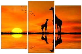 Obraz na plátně - Žirafy silueta 1919C (135x90 cm)