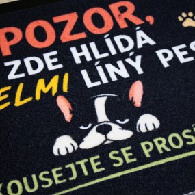 Mercury Flooring, Rohožka Líný pes 40x60 cm - na ven i na doma, 40x60, šedá