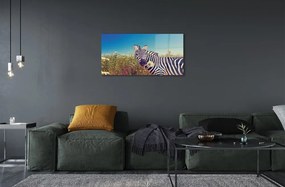 Obraz na skle zebra květiny 140x70 cm