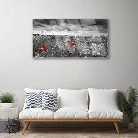 Obraz na skle Louka Květiny Krajina 140x70 cm