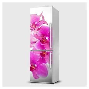 E-shop24, Pi5SL955, Rozměr 65x120 cm, Fototapeta samolepící na lednice - Orchidej růžová