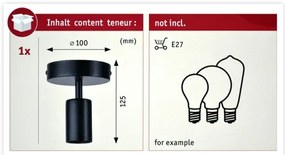 Paulmann 79760 - Stropní svítidlo HALDOR 1xE27/20W/230V