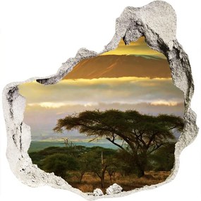 Wallmuralia Díra 3D ve zdi nálepka Kilimandžaro Keňa 75x75 cm