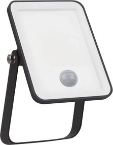 Reflektor LED Ledvance Floodlight Essential 10 W 3 000 K