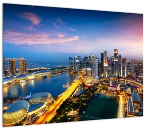 Skleněný obraz - Singapur, Asie (70x50 cm)