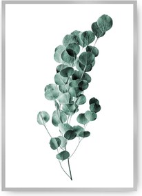 Plakát Eucalyptus Emerald Green