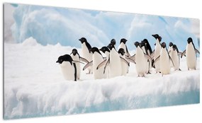 Tučňáci - obraz (100x40cm)