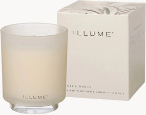 Vonná svíčka Winter White (citrusové plody a kardamom)