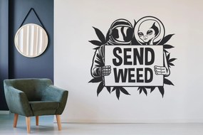 Lepy.cz Samolepka na zeď Send weed Velikost (šířka x výška): 50x47cm, Barevná varianta: Černá