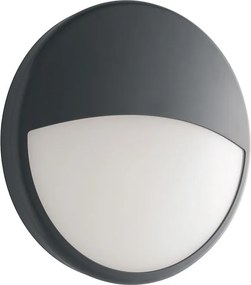 FAN LED-EVER-LP ANT Venkovní nástěnné svítidlo LED EVER antracit, polykarbonát, 20 W, 2500 lm, 3000/4000 K, IP65, 22,1 x 7,2 cm - FANEUROPE