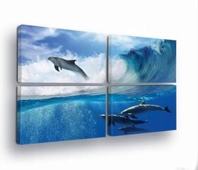 Obraz 120x80 Ocean delfíni vlny pod vodou slunce příroda mořský život