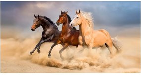 Carbotex Froté osuška 70 × 140 cm ‒ Divocí koně v poušti