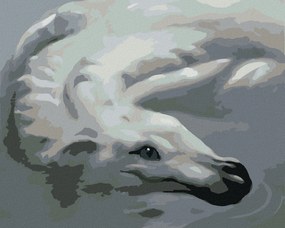 zuty zuty - malování podle čísel - aligátor nebo kůň - iluze (d. rusty rust), 40x50 cm, plátno