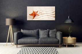 Plexisklo-obraz Hvězdice na Písku Pláž 100x50 cm