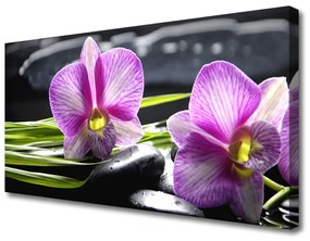 Obraz na plátně Orchidej Kameny Zen Lázně 100x50 cm