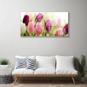 Plexisklo-obraz Tulipány Květiny Příroda Louka 100x50 cm