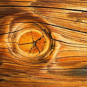 Třídílná vliesová fototapeta Dřevěný suk, rozměr 225x250cm, MS-3-0157