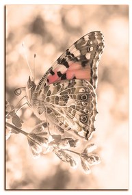 Obraz na plátně - Motýl na levandule - obdélník 7221FA (60x40 cm)