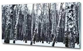 Wallmuralia Fotoobraz na skle Břízy zima 100x50
