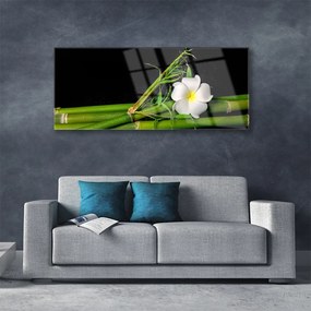 akrylový obraz Bambus Květ Rostlina 125x50 cm