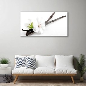 Obraz na skle Květ Rostlina Příroda 125x50 cm