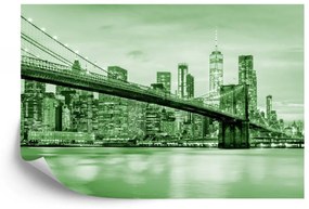 Fototapeta Brooklynský Most Nyc V Zeleném Strukturální vinyl 450x300