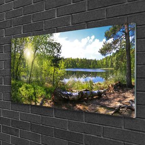 Obraz na skle Les Stromy Jezero Příroda 120x60 cm