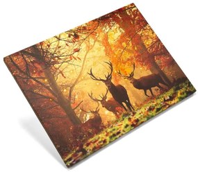 Nexos  74530 Nástěnná malba  jelení stádo, 30 LED, 30 x 40 cm