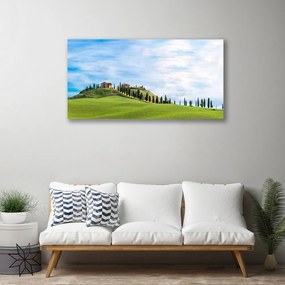 Obraz na plátně Louka Stromy Krajina 125x50 cm