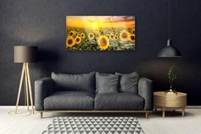Obraz na skle Slunečnice 140x70 cm
