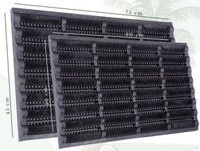 Hanse Home, Venkovní čistící rohož Mix Mats Brushes 105648 Black - na ven i na doma, 45x75, černá, exteriér